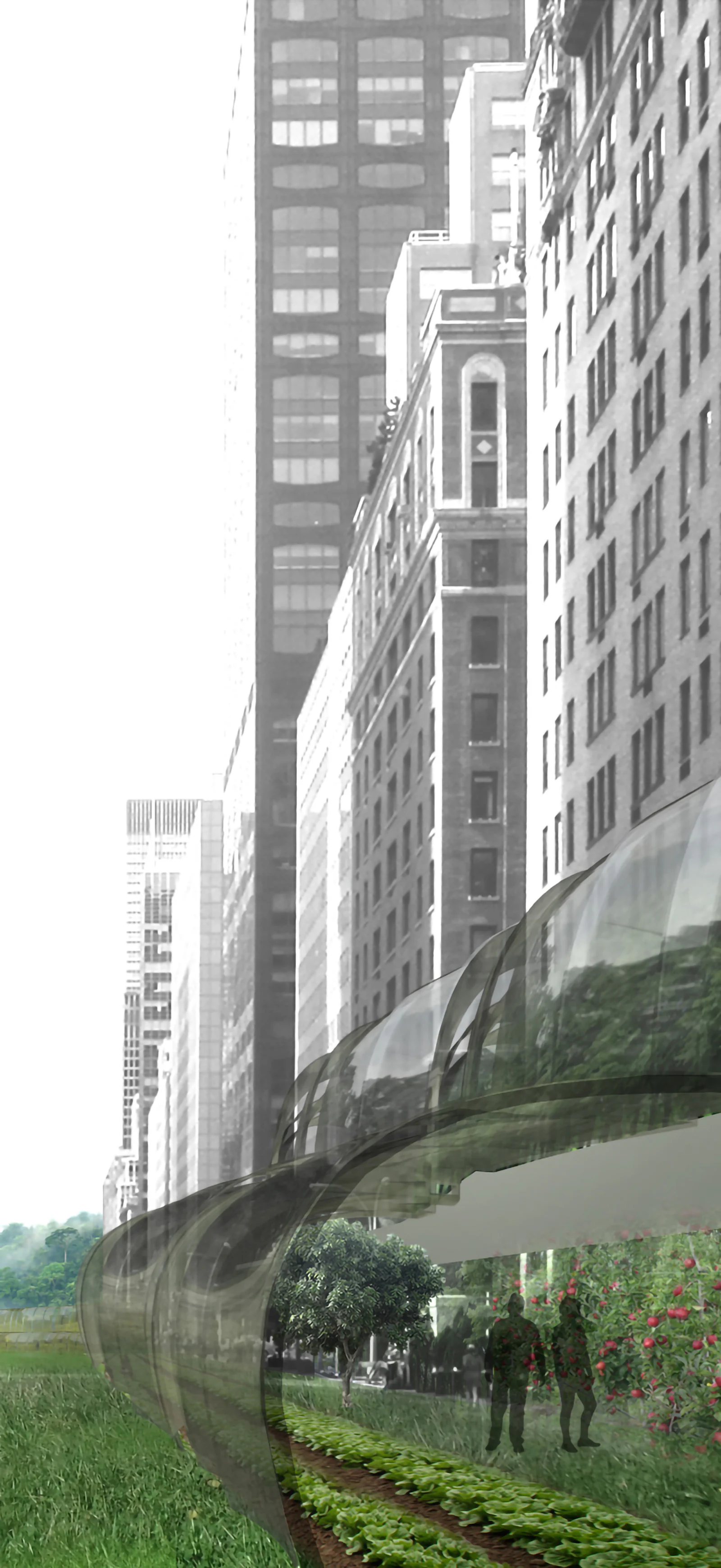 The Loop NYC Competition | EDG Architecture + Engineering